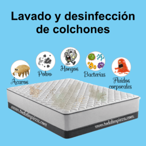 Lavado de Colchones Medellín a domicilio Limpieza de colchones